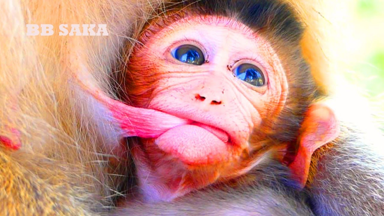 Adorable Saka has a nice day with his Mama - YouTube