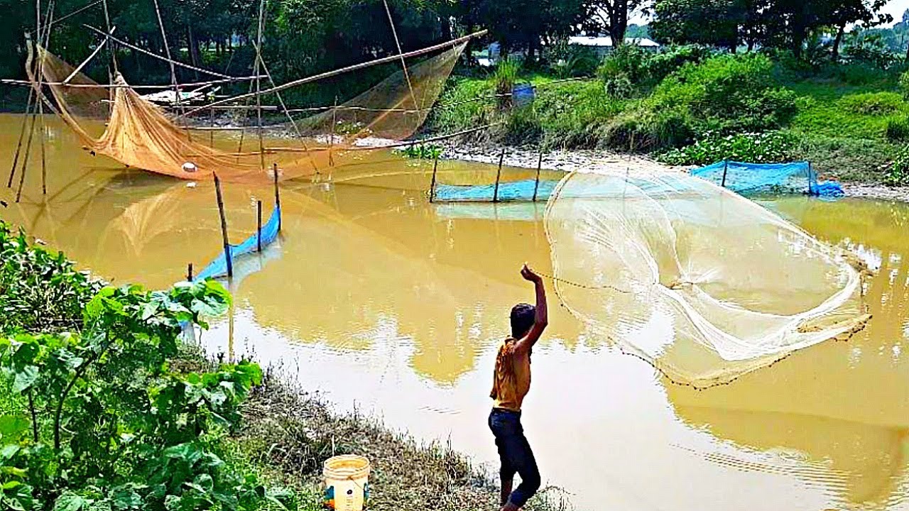 Net Fishing - Asian Traditional Net Fishing In Village Canal - YouTube