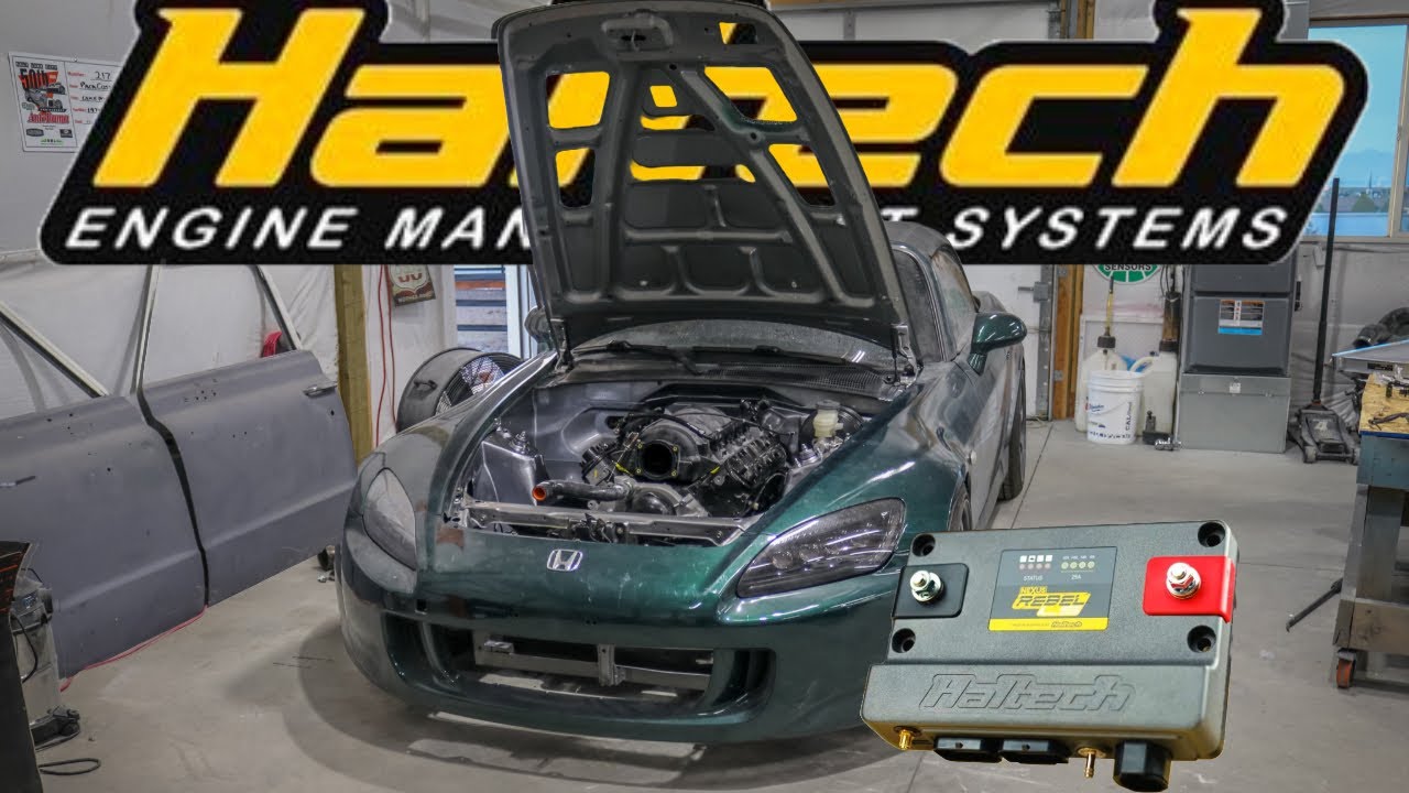 Wiring an LS Swap S2000 for HALTECH - YouTube