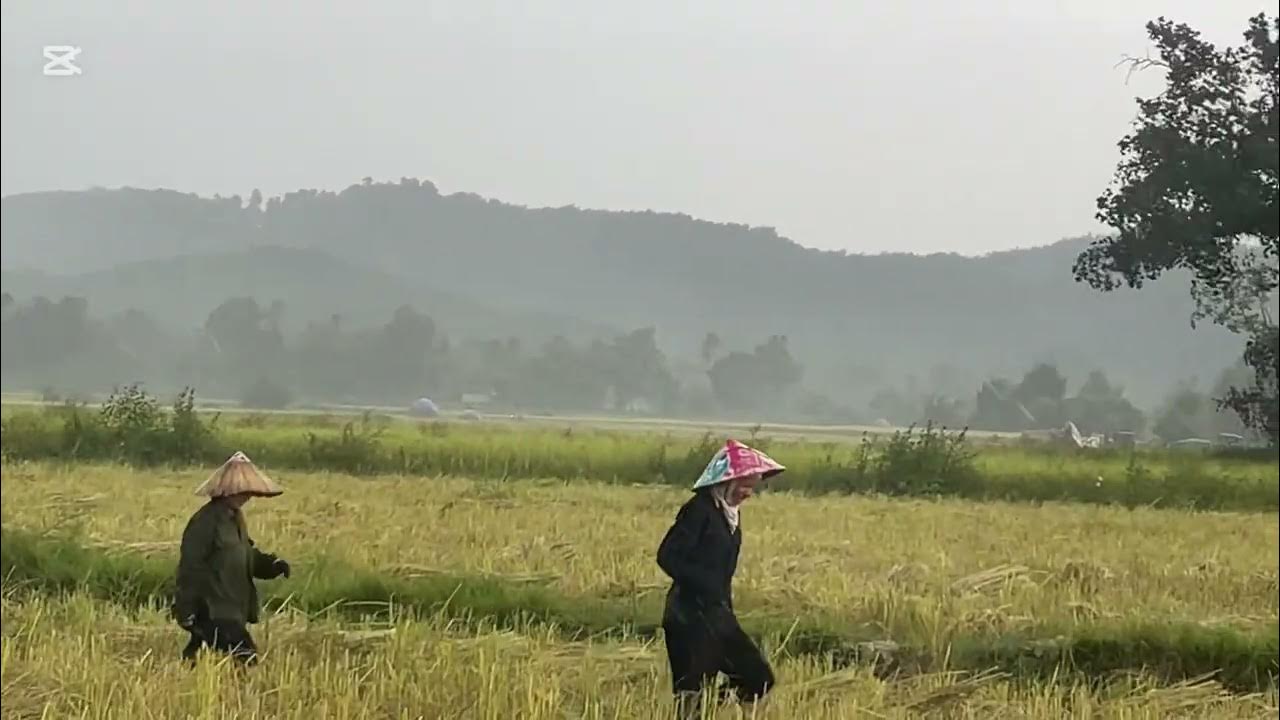 Hnub no mus hlais nplej ntuj los2 nag kawg li - YouTube