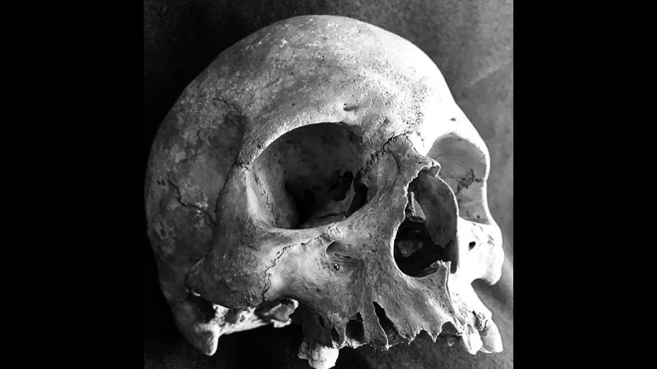 Supreme Neck Protector -- 6 M. F. Pigs (Featuring Tataee.) 4K ...