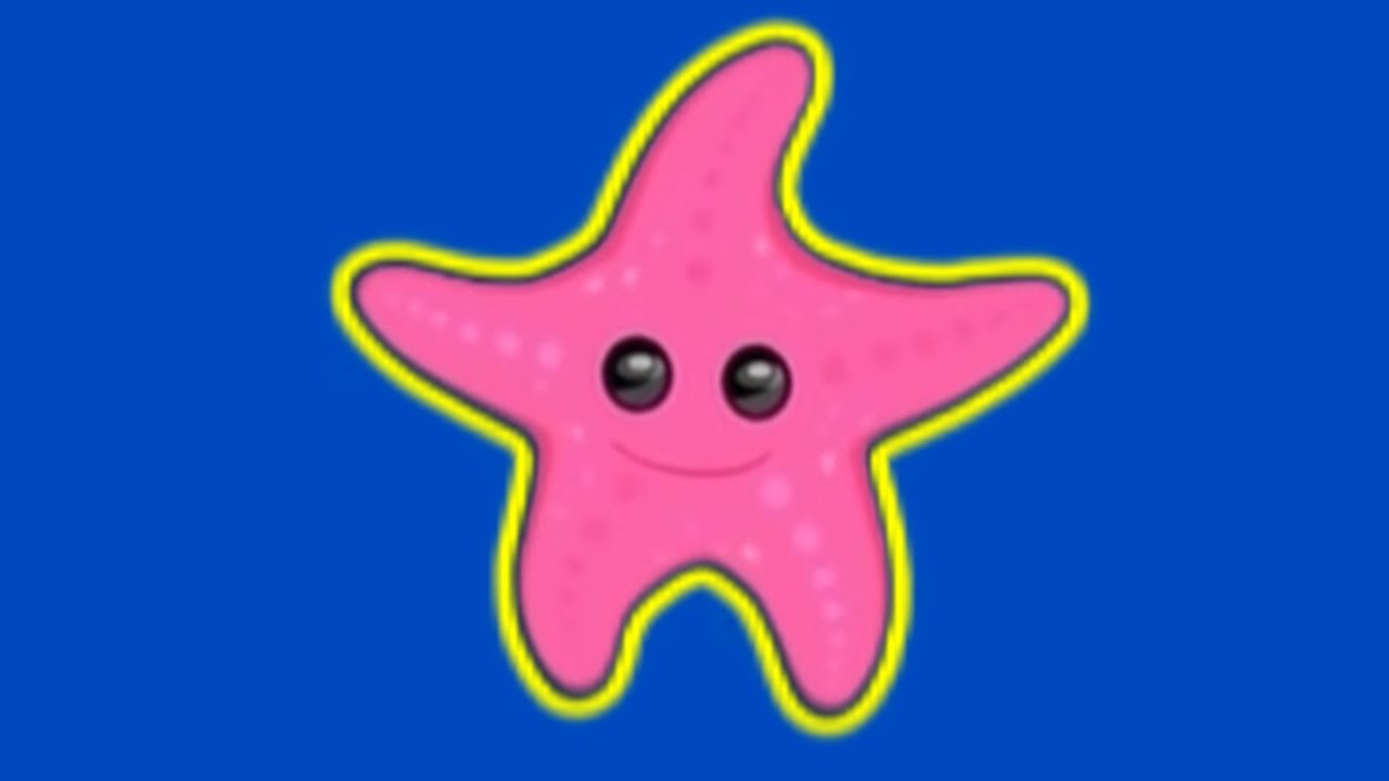 Cartoon Star Fish - 4K Green Screen - YouTube