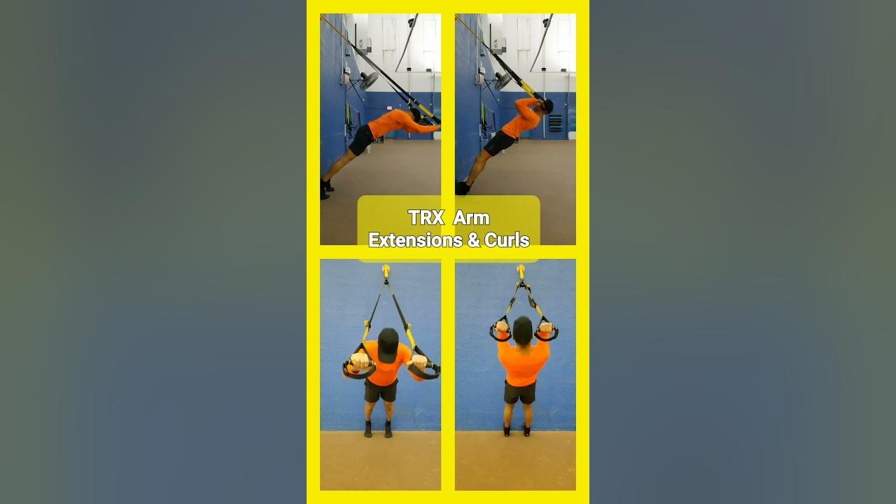 TRX Triceps Extensions & Biceps Curls Superset #shorts #trx #arms #bodyweight - YouTube