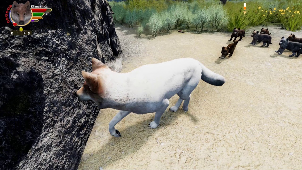 WolfQuest: Anniversary Edition Gameplay - YouTube