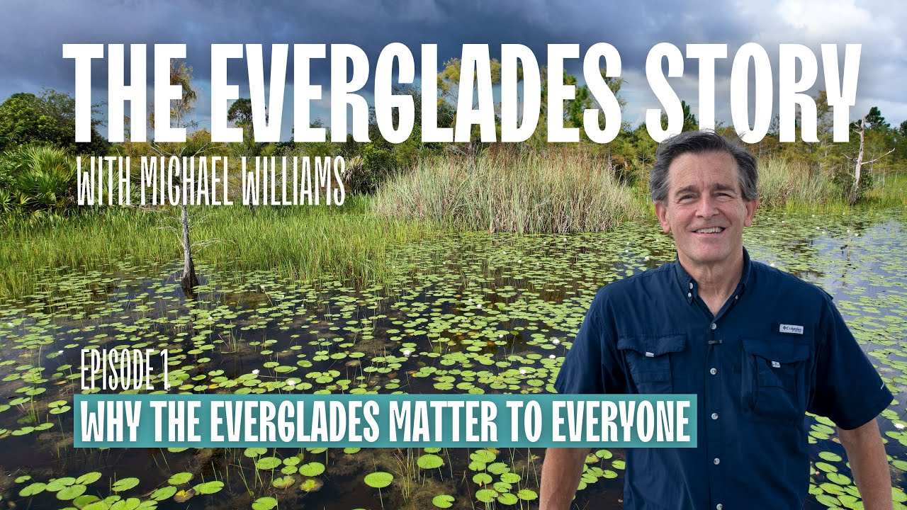 The Everglades Story: Why the Everglades Matter to Everyone - YouTube
