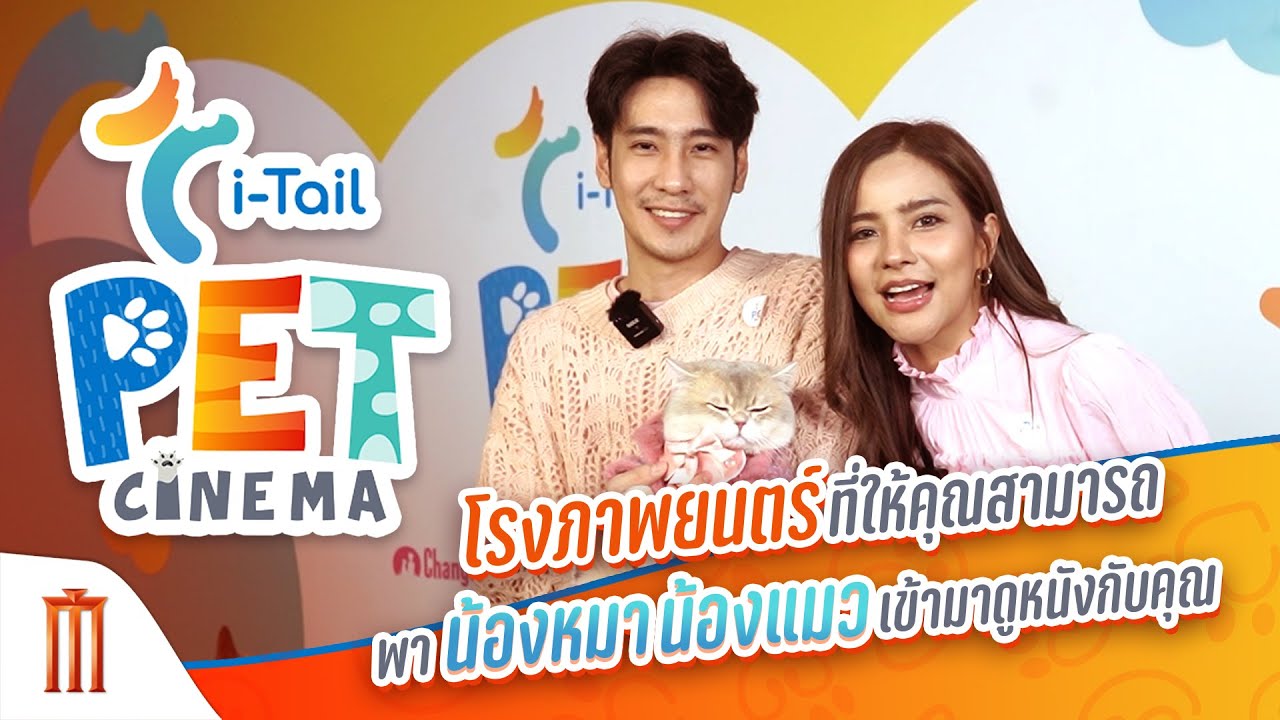 i-Tail PET CINEMA โรงภาพยนตร์ที่ให้คุณสามารถพาน้องหมาน้องแมวเข้ามาดู ...