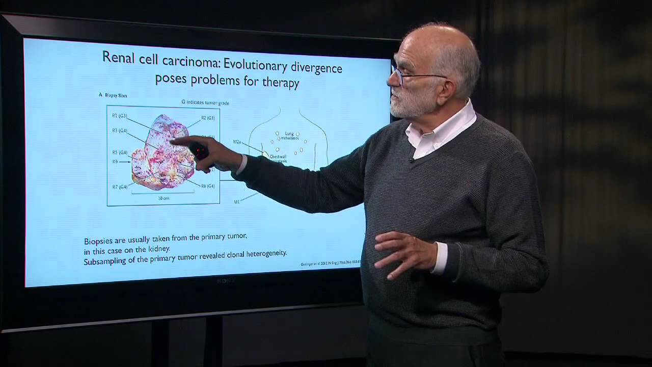 7.4 Cancer as an Evolutionary Process: Phylogenetics - YouTube
