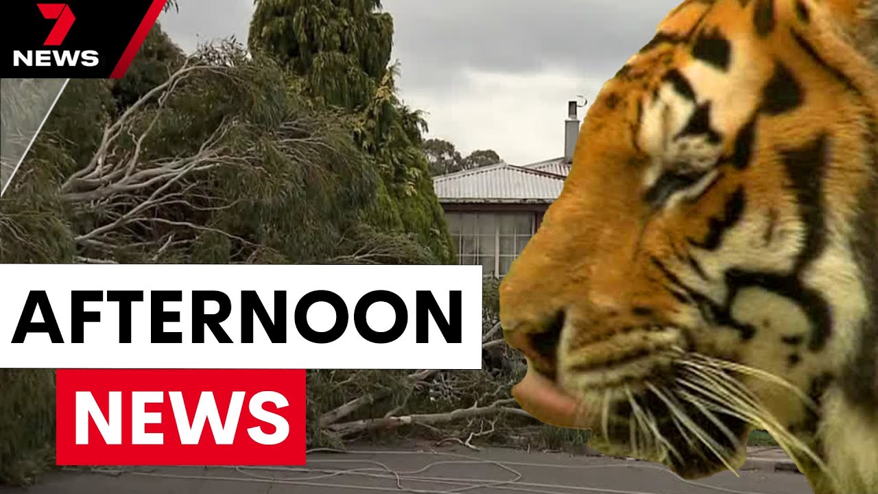 Wild weather destruction, tiger attack, horror house fire | 7NEWS - YouTube