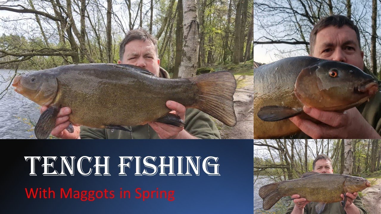 Tench Fishing at Lymmvale - YouTube