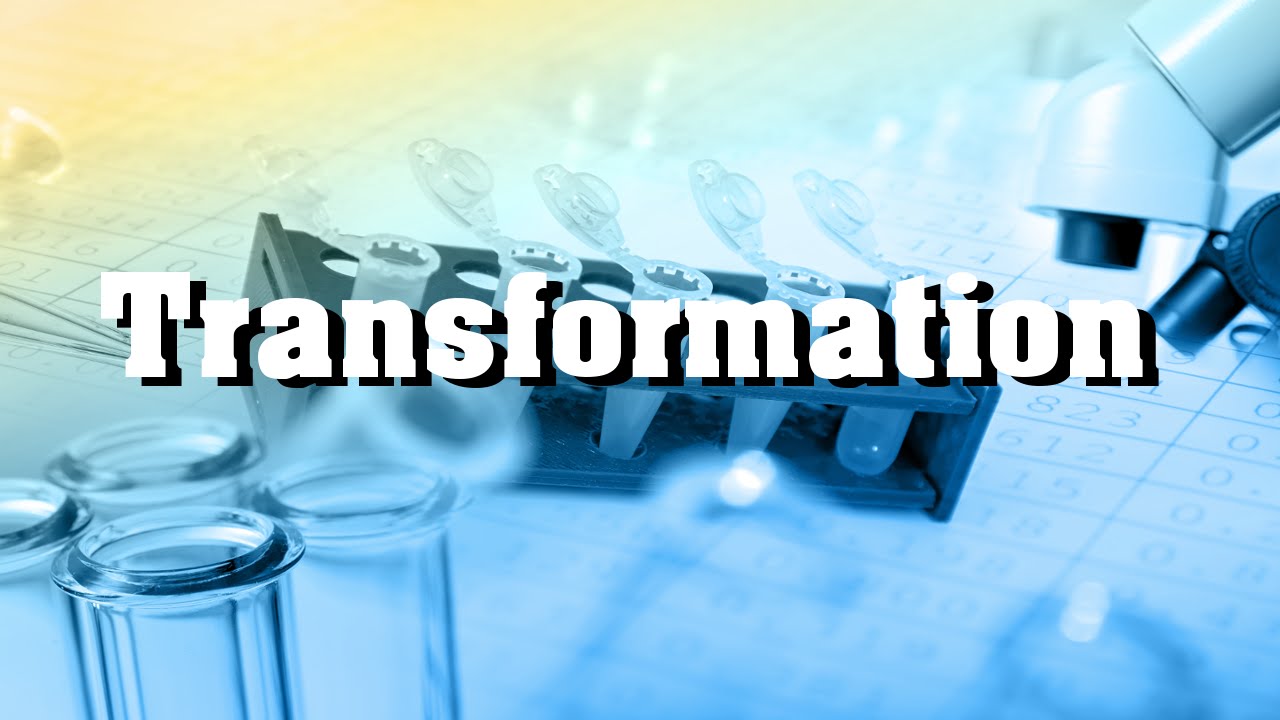 Transformation - YouTube