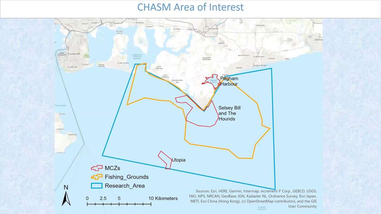 CHASM: Crustaceans, Habitat and Sediment Movement - YouTube