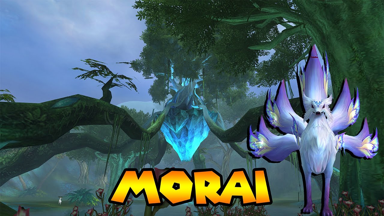 META PW #17 - UPANDO EM MORAI - YouTube