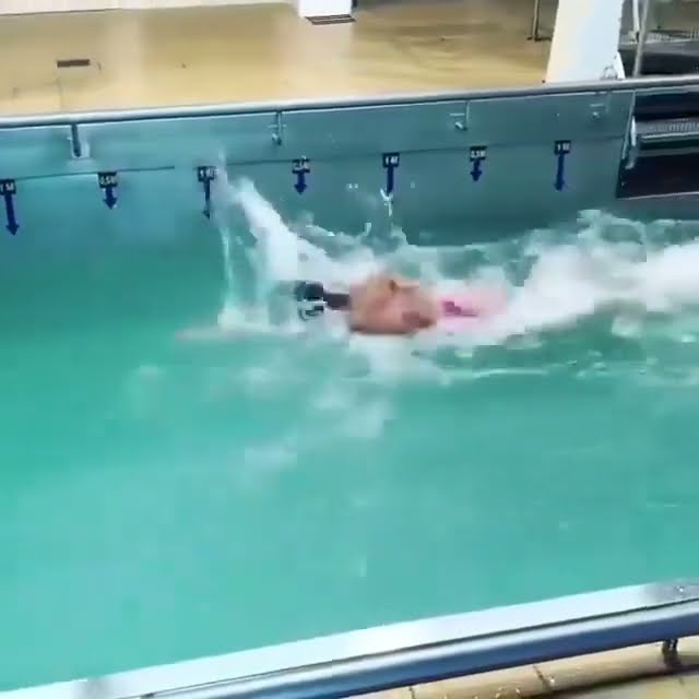 Crazy Fast Swimmer Backstroke😱 #shorts #swimming - YouTube