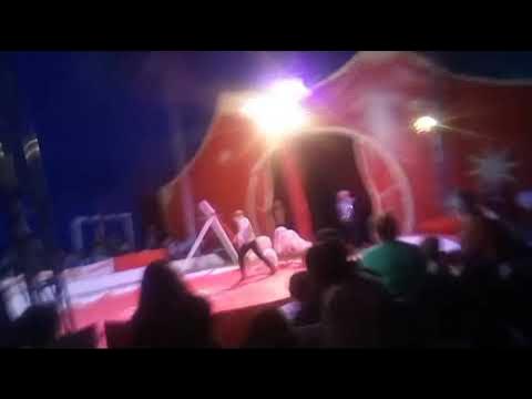 une journée au cirque - YouTube