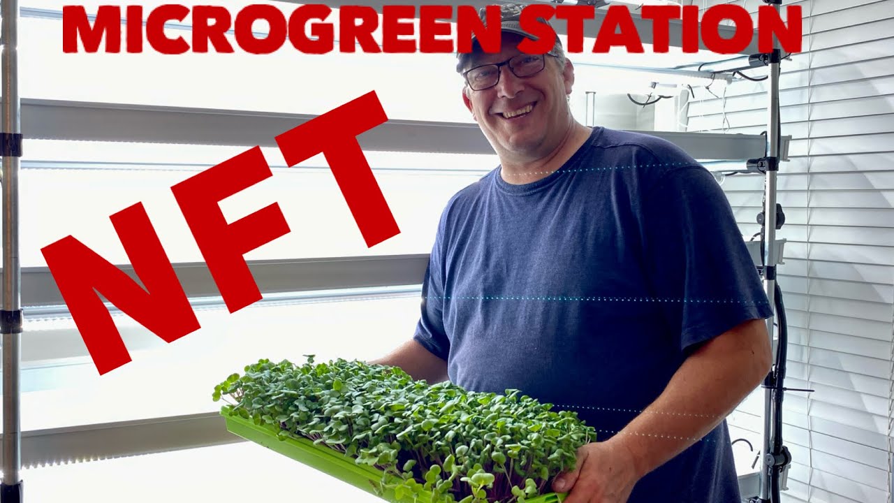 NFT Microgreen Station - YouTube