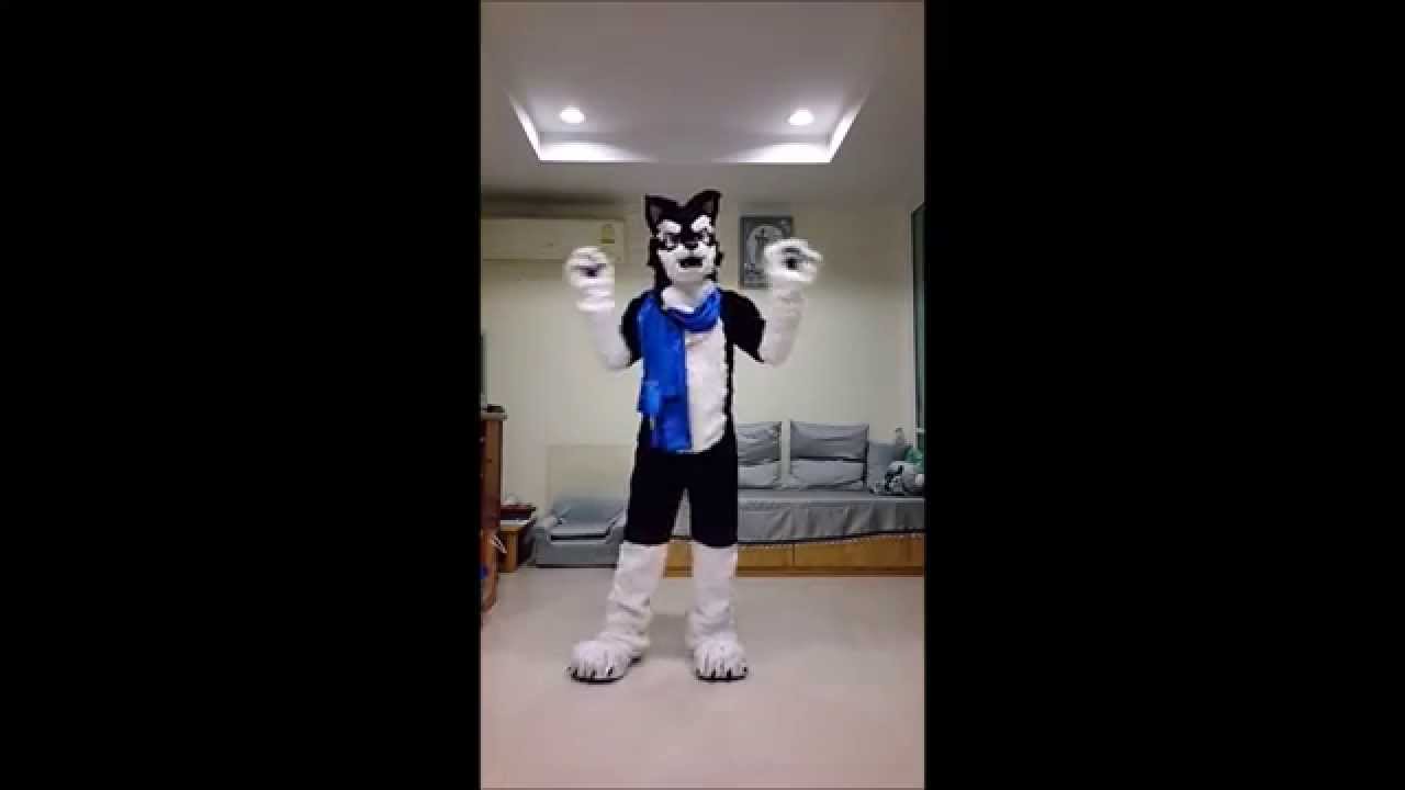 Fursuit Dance - Love & Joy by Paladin Wolffy Knight - YouTube