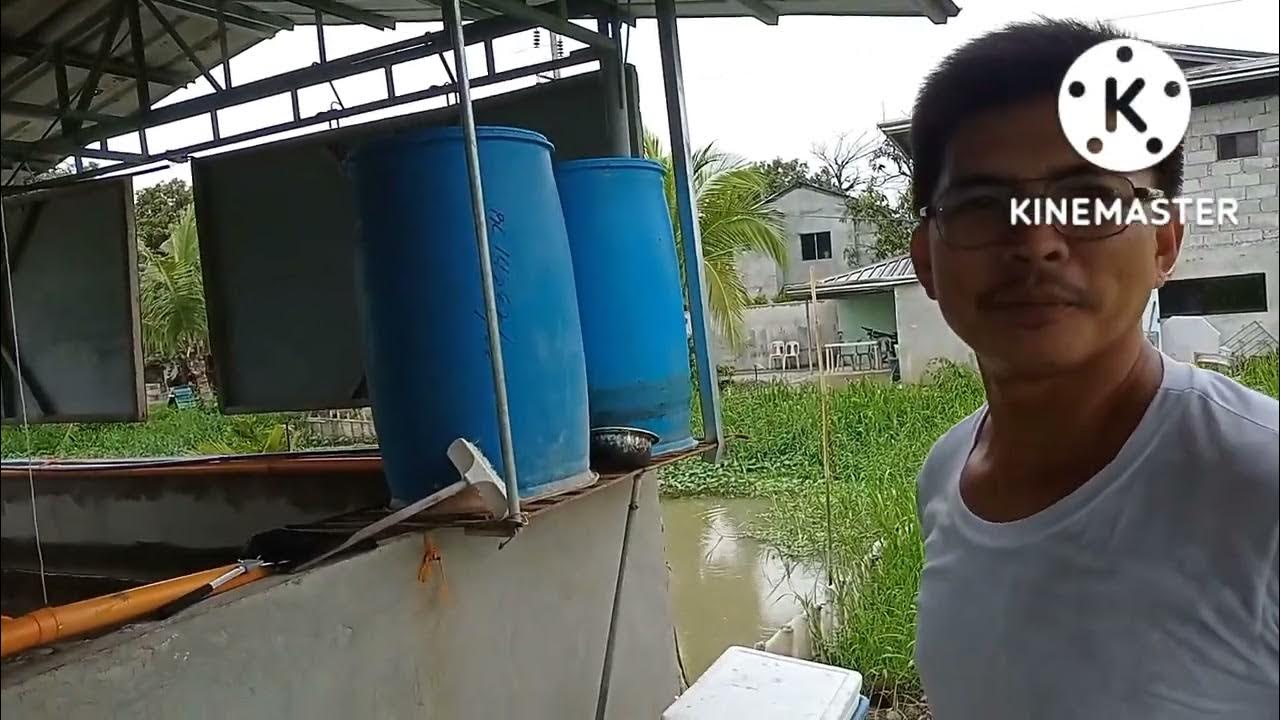 How To install Centrifungal Pump 2Hp ( super lakas ng tubig ) - YouTube