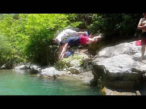 Dezze oğulları gurubu 2019 videoları