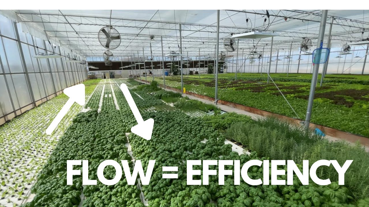 Good Flow = Efficient Growing - YouTube