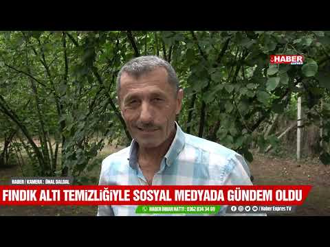 FINDIK ALTI TEMİZLİĞİYLE SOSYAL MEDYADA GÜNDEM OLDU