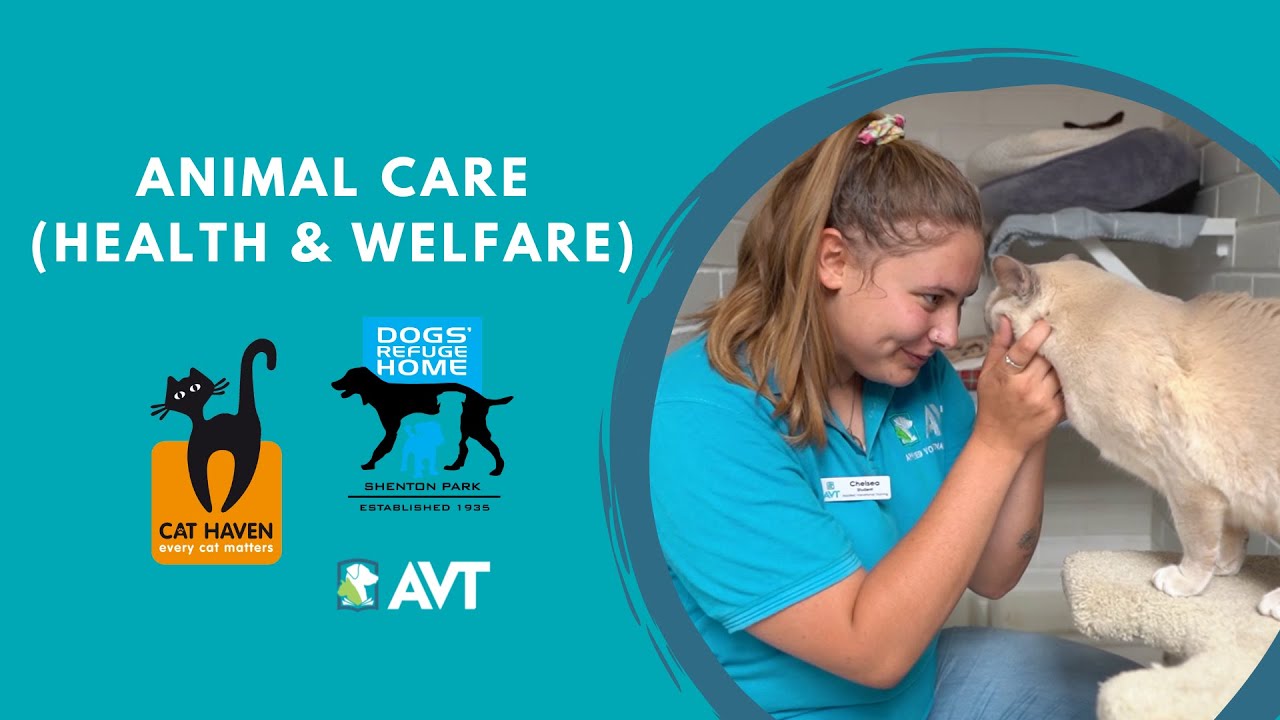 How to work with animals - Certificate II in Animal Care (Health ...