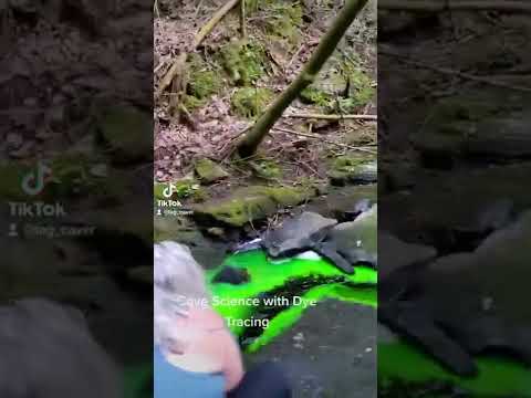 Cave Science with Dye Tracing! - YouTube