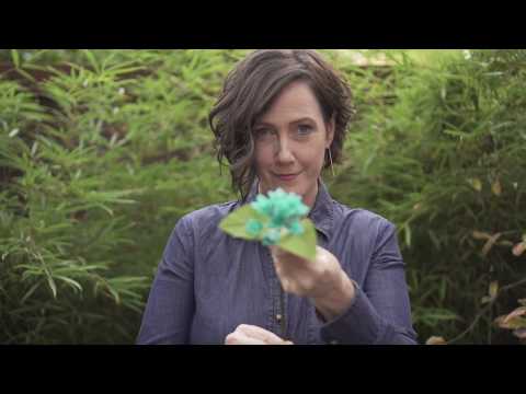 Lia Griffith Crepe Paper | BLICK Art Materials
