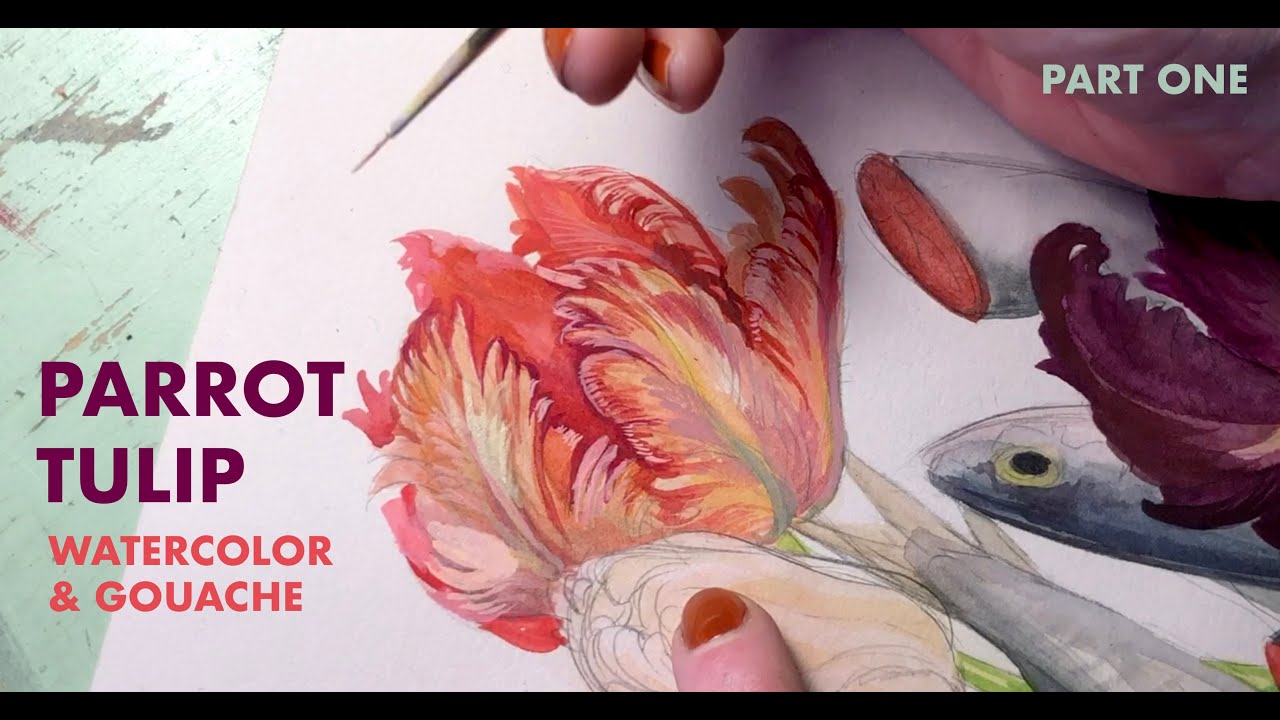 Painting a Parrot Tulip in Watercolor and Gouache (part 1) - Timelapse ...
