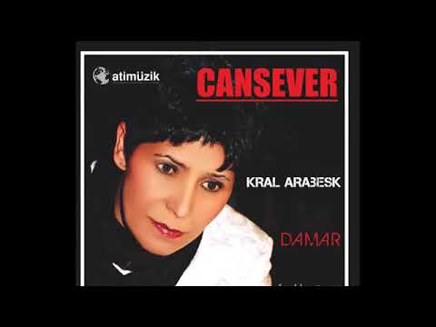 🌹 Terketmek ne kadar kolay - Cansever🌹