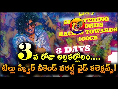 Tillu Square 3 Days Collection Worldwide | Tillu Square Day 3 Total ...
