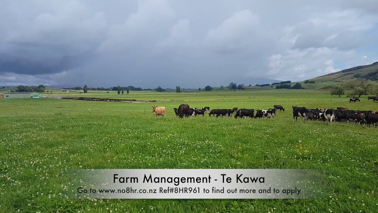 Farm Management - Te Kawa - YouTube