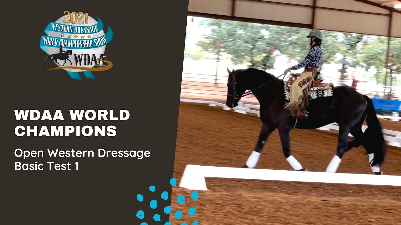 WDAA Open Basic Test 1 World Championship Show Marsha Hartford Sapp ...