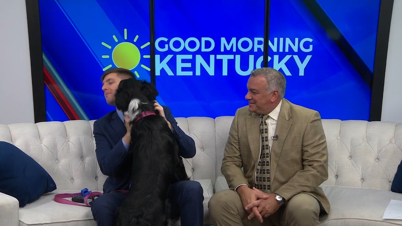 Misty returns to Good Morning Kentucky - YouTube