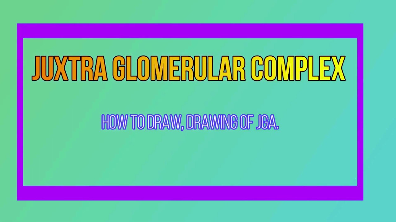 How To Draw JuxtaMedullary Apparatus/Complex ; Easy Drawing | Medico ...