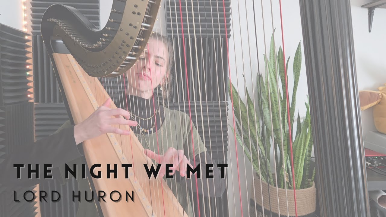 The Night We Met - Lord Huron harp cover // Bridget Jackson Harp - YouTube