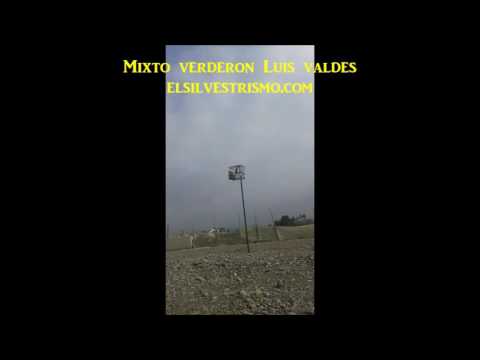 Mixto verderon Luis valdes