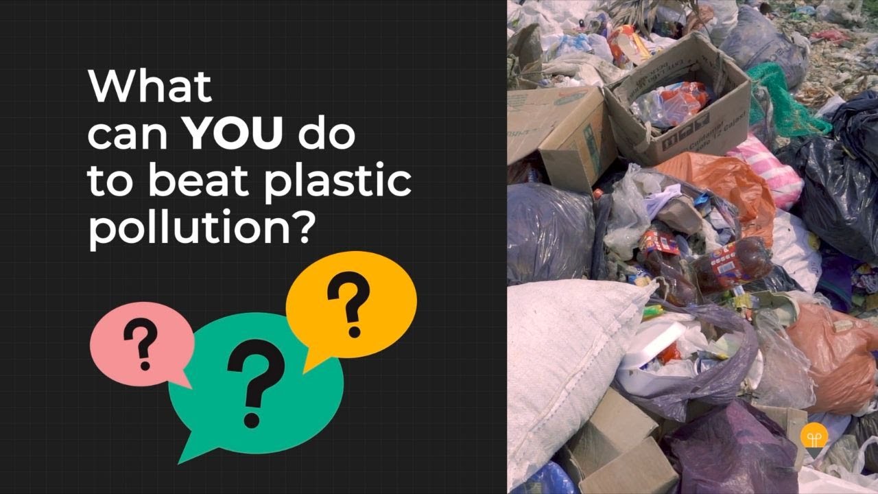 #beatplasticpollution - YouTube
