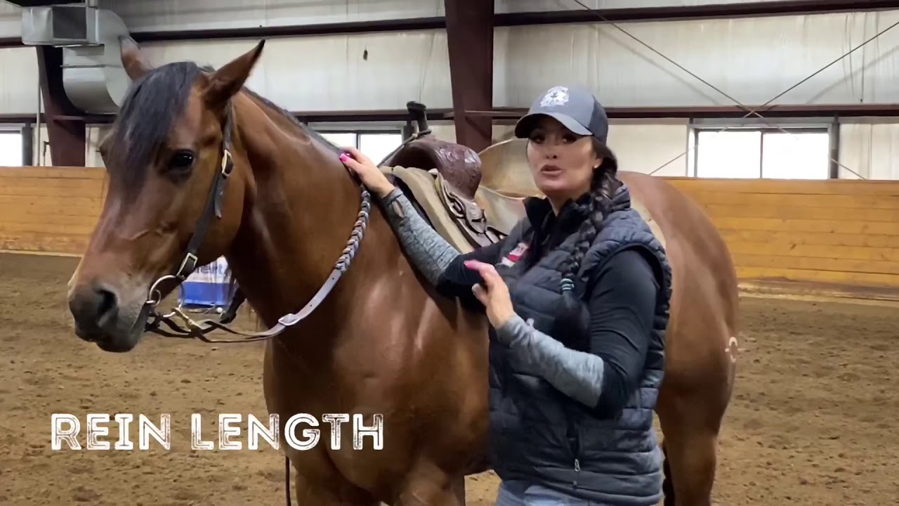 Rein Length - YouTube