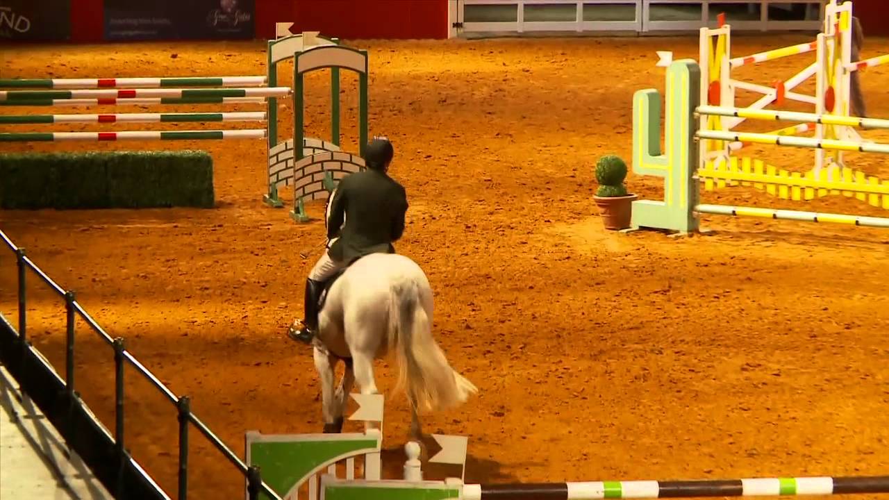 Chris Chugg Equestrian Grand Final Jumping Equitana - YouTube