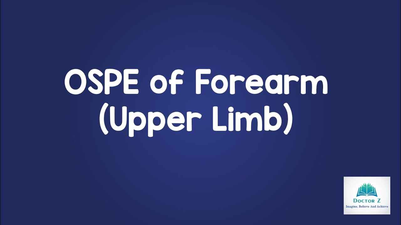 OSPE of Forearm(Gross Anatomy Spotting) | Upper Limb | Doctor Z - YouTube