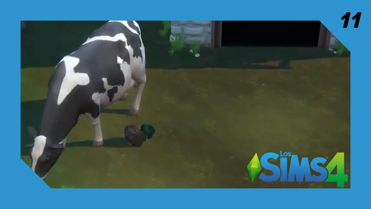Los Sims 4 | Vida en el pueblo #11 | Tenemos un gallo - YouTube