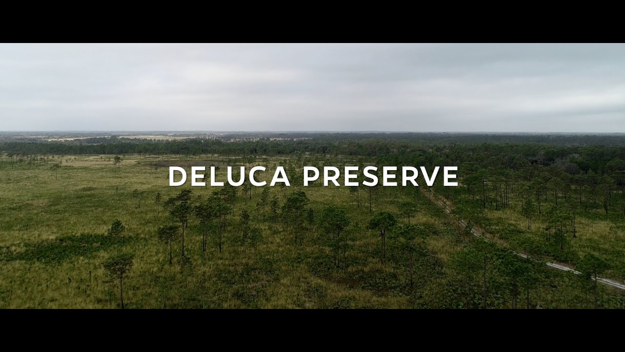 Deluca Preserve - Thousands of Acres, Thousands of Possibilities - YouTube