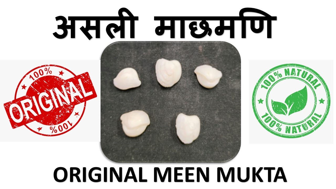 #Adil Mach Mani stone | मच्छ मणी के लाभ #machmani#मच्छमणी #meenmukta# ...