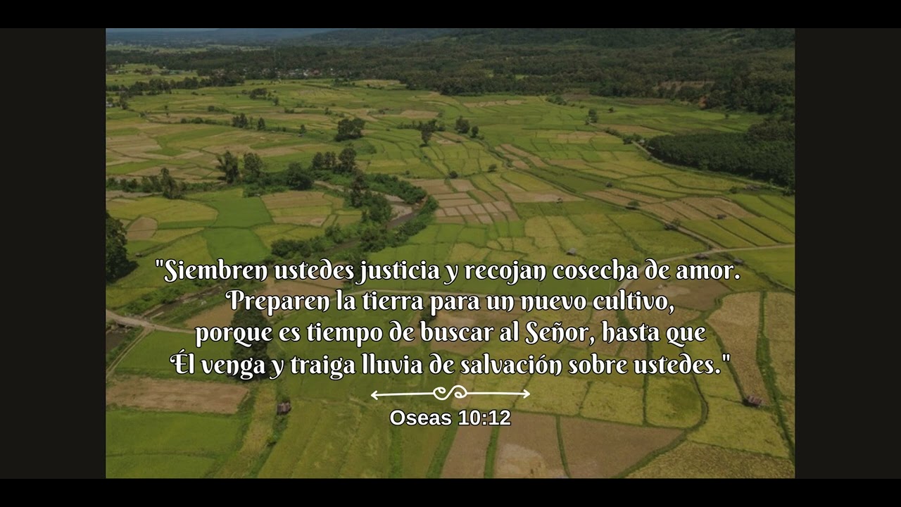 Oseas 10 - Reavivados por su Palabra - YouTube