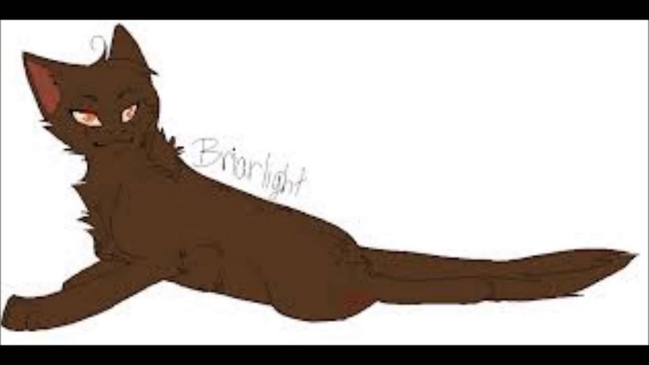 Warrior Cats: Briarlight - YouTube