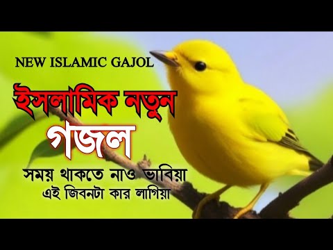 New Islamic Gajol সময় থাকতে নাও ভাবিয়া।New Gajol,নতুন গজল। - YouTube