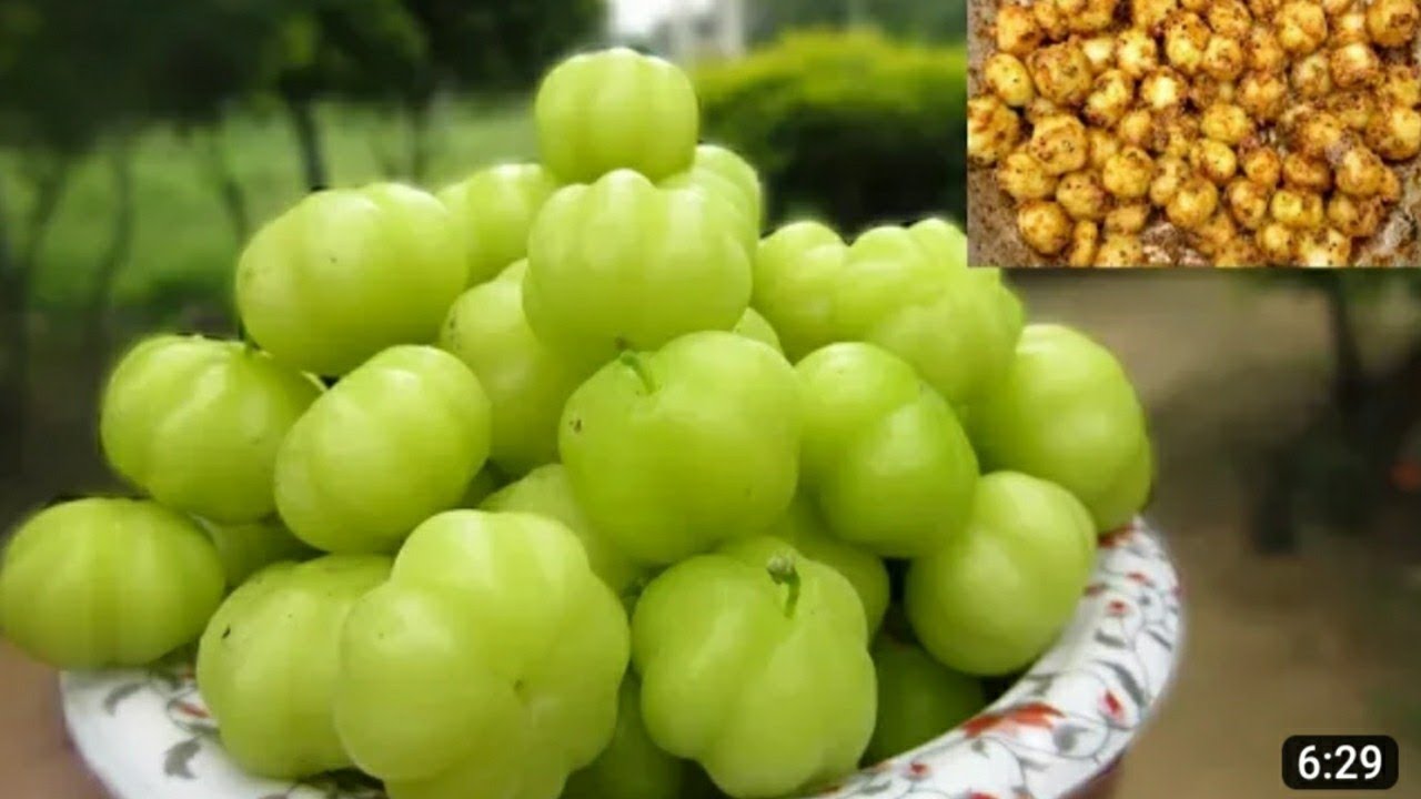 Fresh Star Gooseberry Recipe | নলের আচার | অর বড়ই আচার রেসিপি indian s ...
