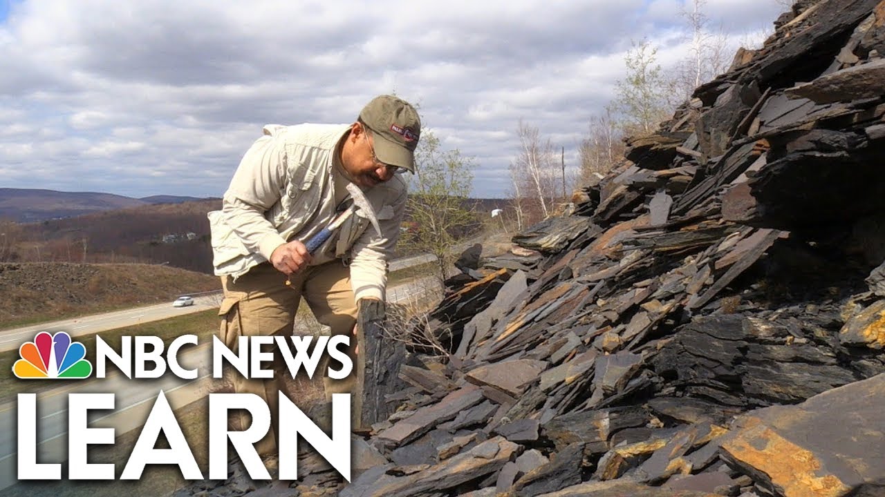 Fun Finding Fossils - YouTube