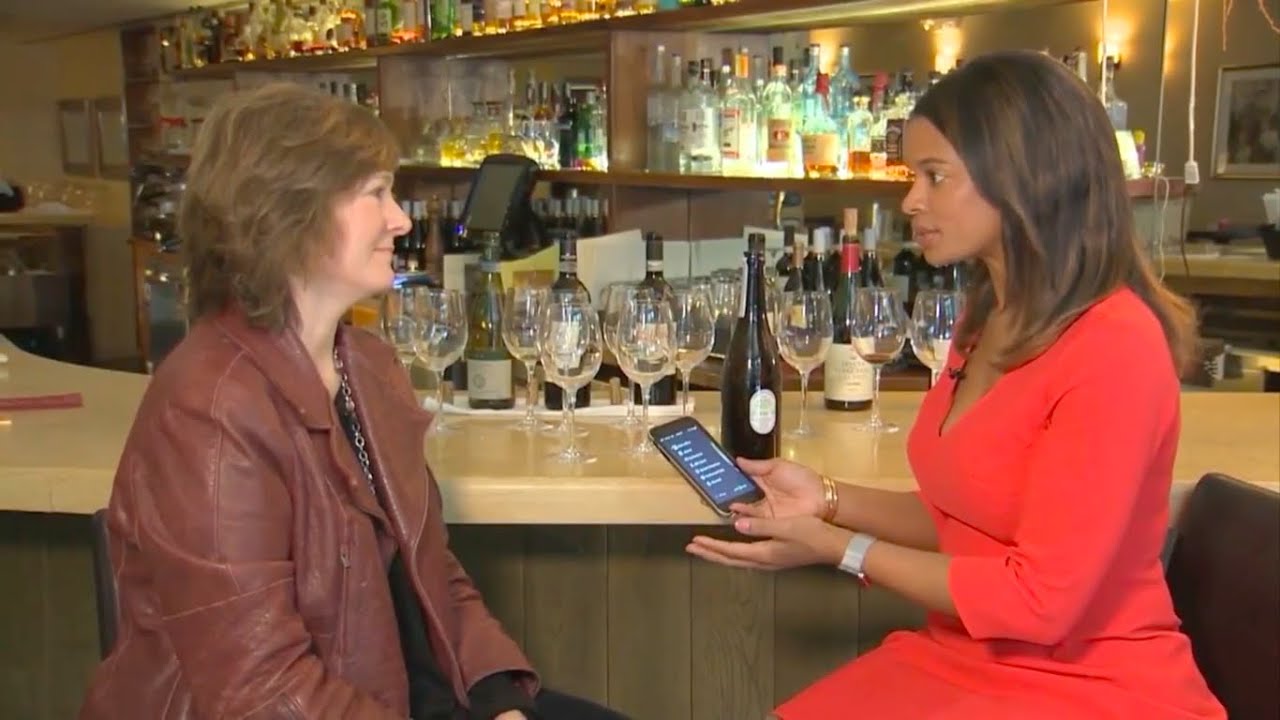 Pam Dillon on CBS News - YouTube