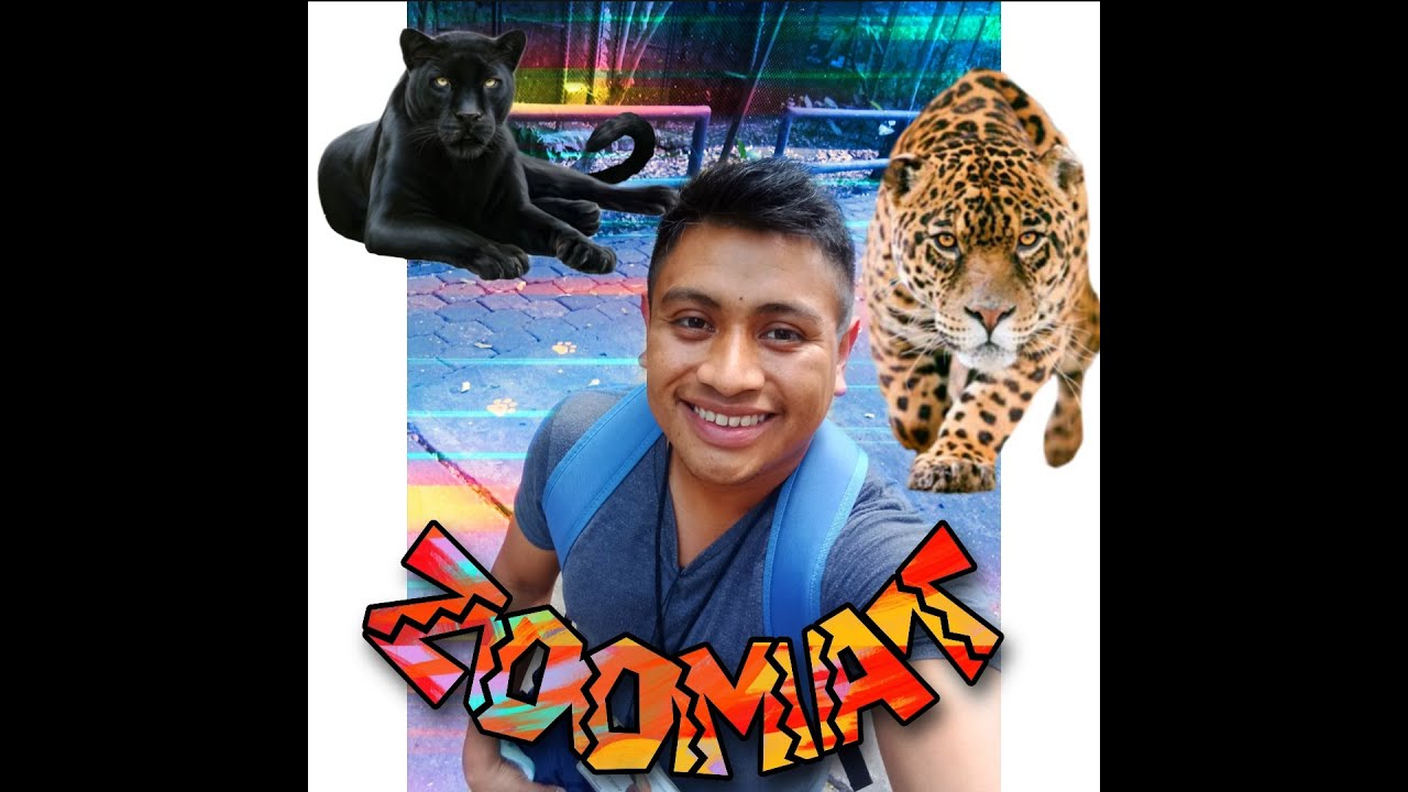 Recorrido nocturno en el Zoomat - YouTube